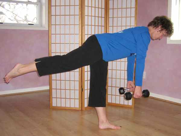 CORE CORNER – Dipping Bird | Endurance Magazine