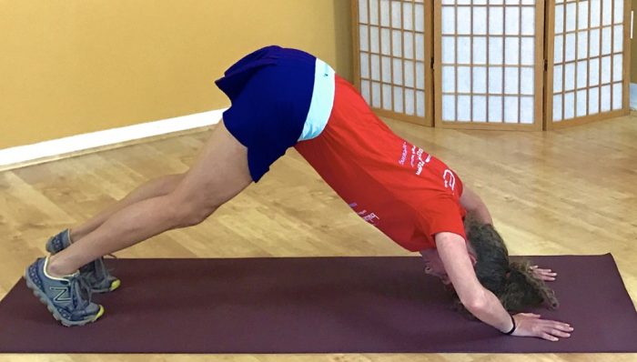 Down Dog Push Up | Endurance Magazine